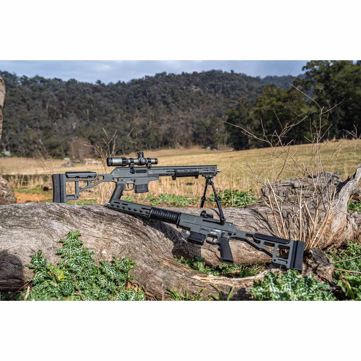 Taipan X 223 Wylde Pump Action Rifle from SCSA | Armour Black